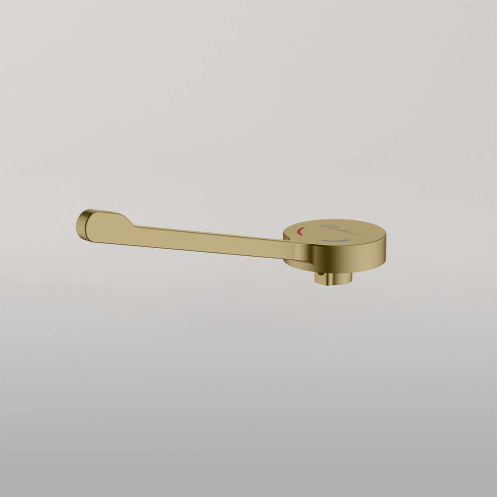 Venice Care Handle Pin Lever For Wall Mixers Classic Gold – SpecSpace